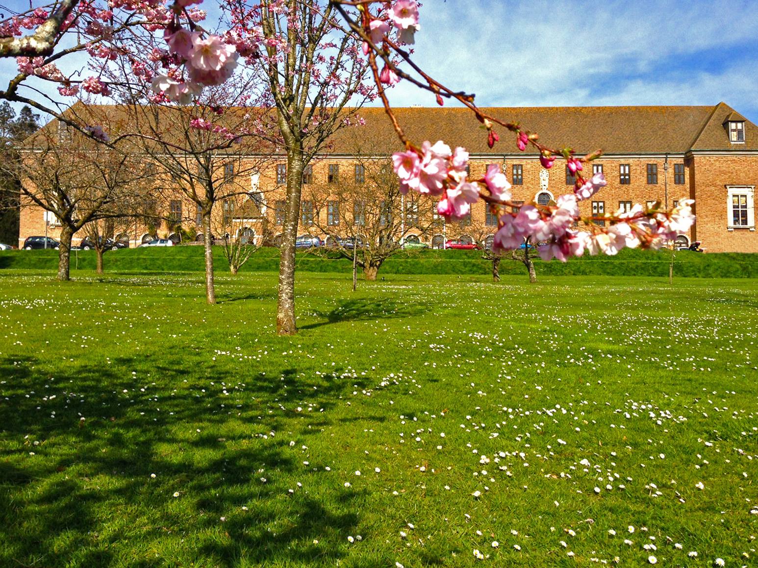 “Honorary Senior Research Fellow” al Prof. Creaco – news.unipv